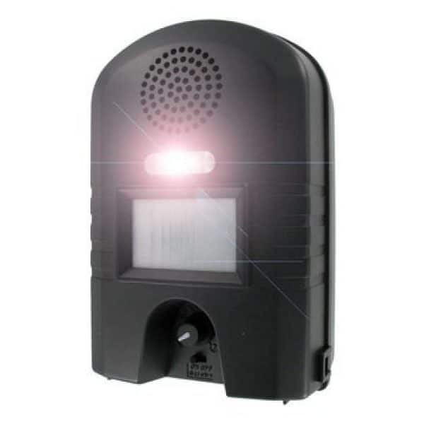 Steenmarter in of om uw auto? Op deze manier kun je ze verjagen!